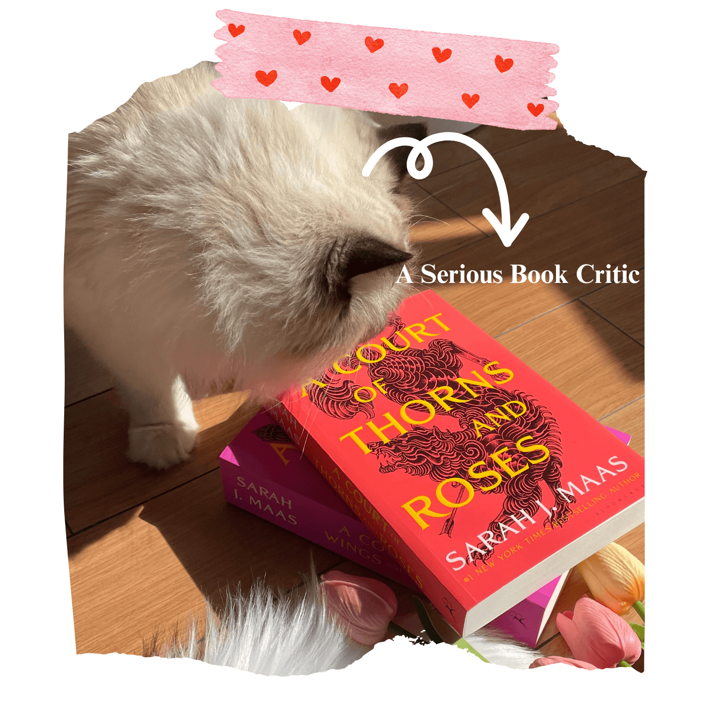 Tinybook Whispers | Craft Your Own Mini Library! 📚